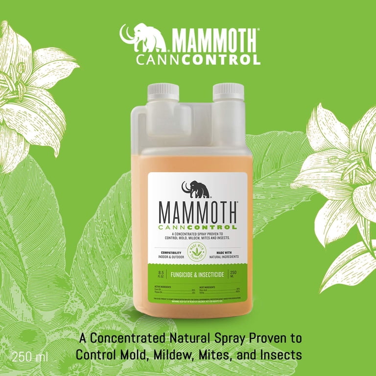 Insecticide For Plants