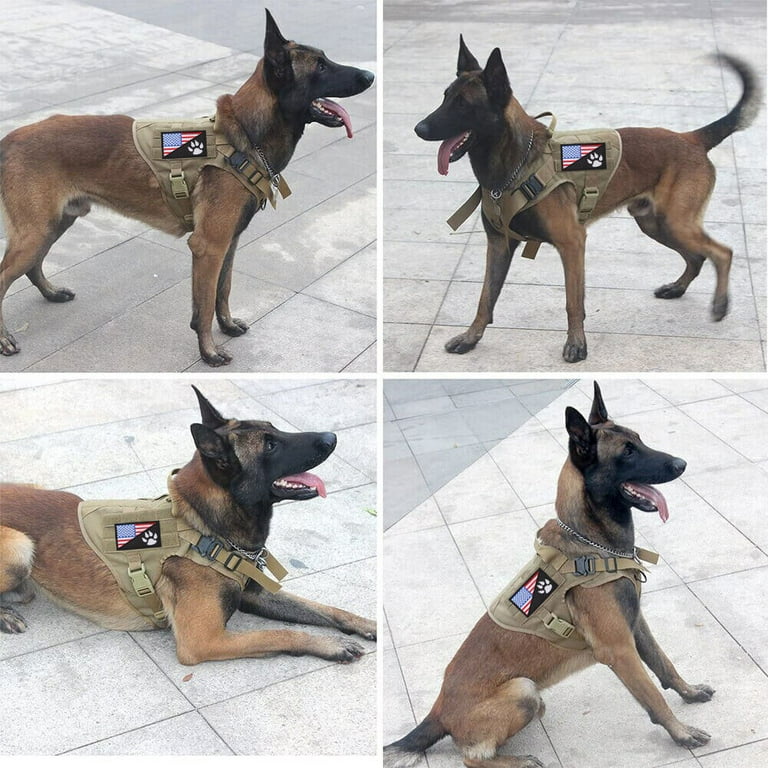 German Shepherd Military Dogs Vest