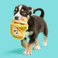BARK Main Squeeze Cheese Dog Toy, Super Stretch Bungee, XS to Medium ...