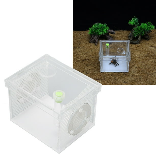 Reptile Insect Enclosure Tank,Reptile Insect Enclosure Tank Reptile ...