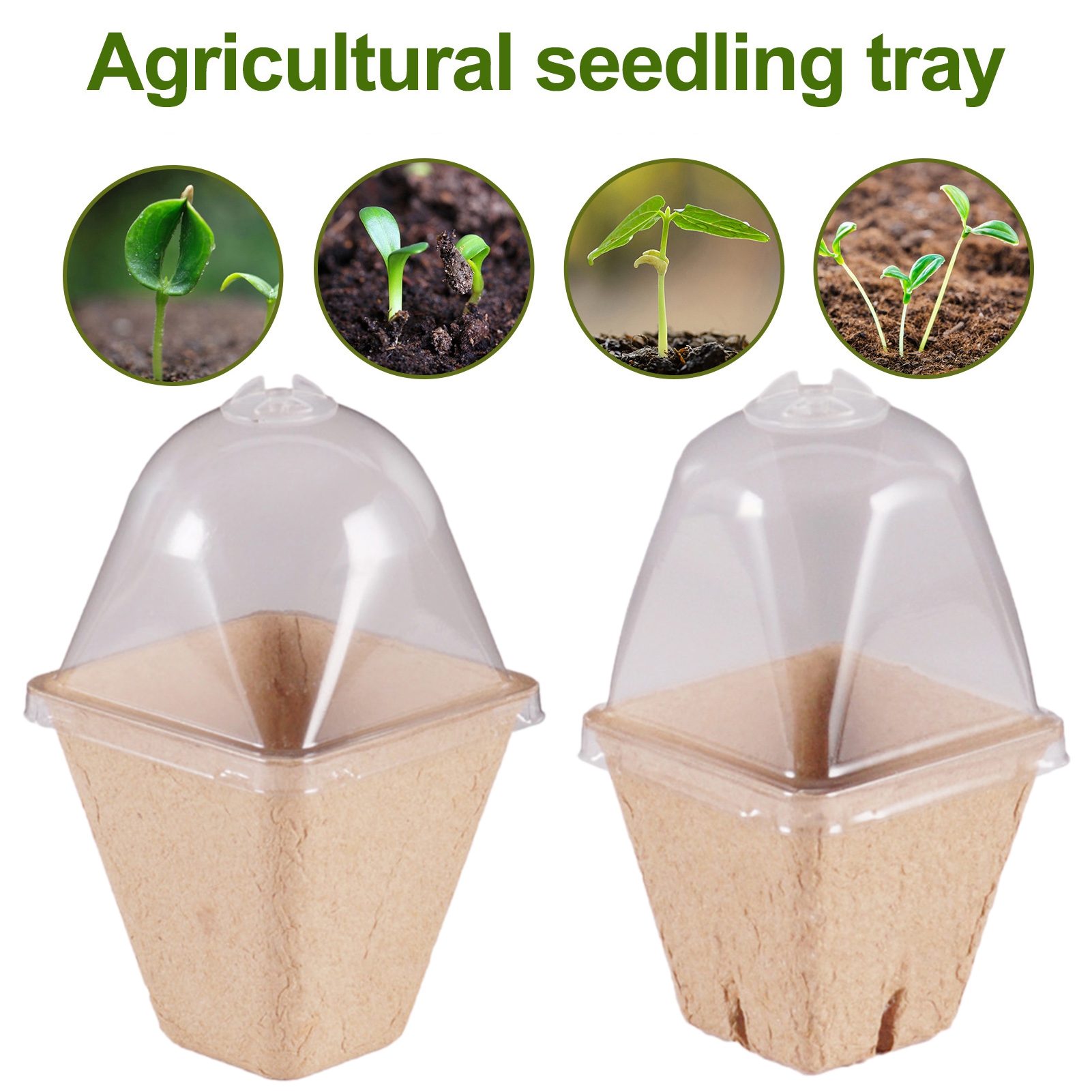 Washranp 10Pcs Biodegradable Disposable Planting Germination Pots with ...