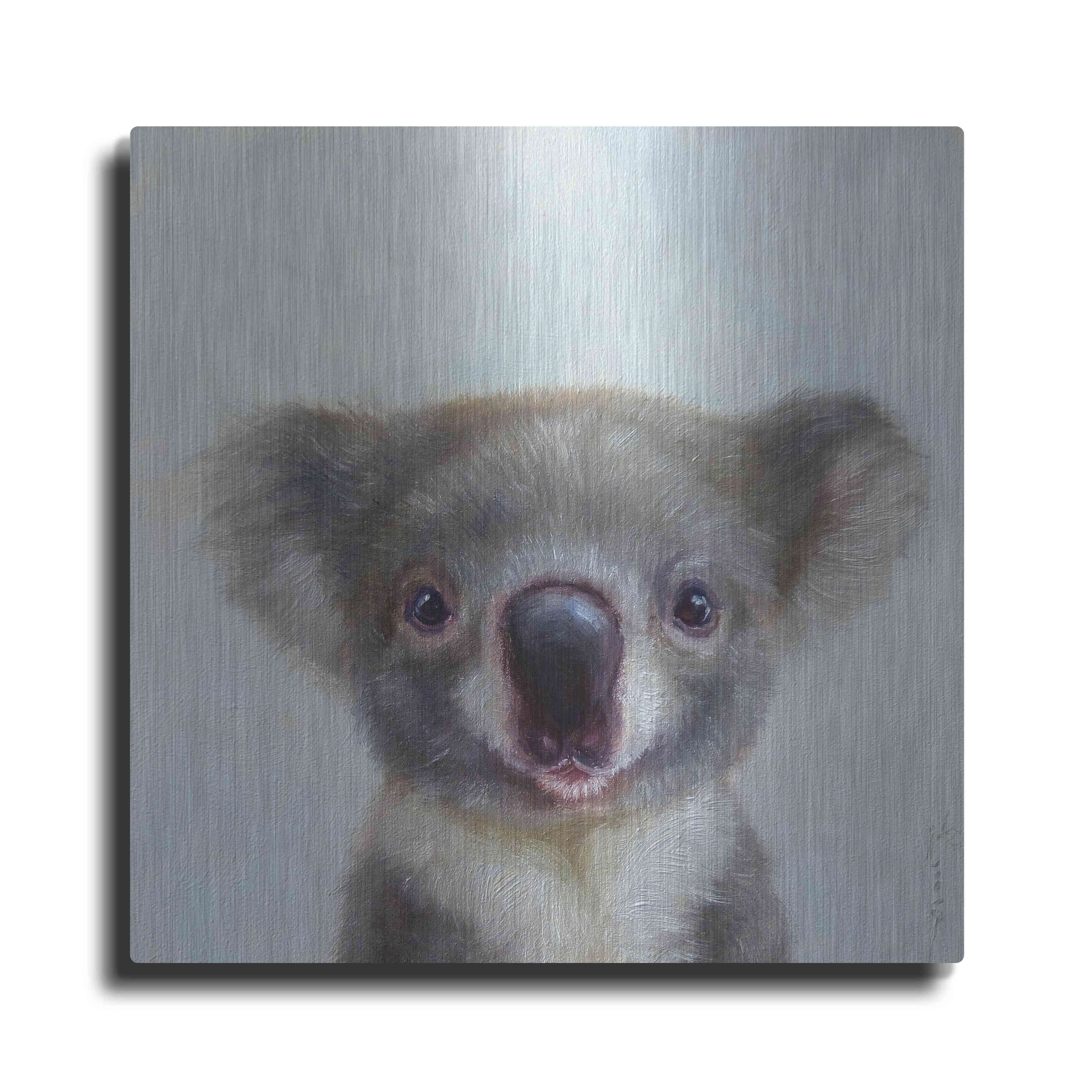 Luxe Metal Art 'Lil Koala' by Lucia Heffernan, Metal Wall Art, 12"x12 ...