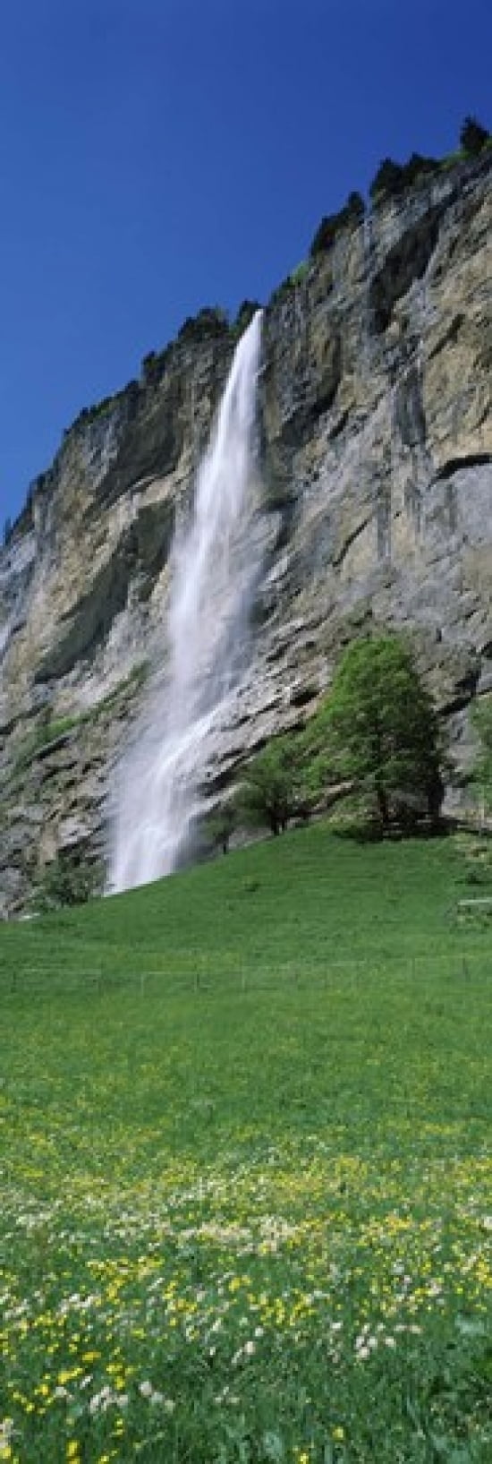 Waterfall in a forest Murrenbach Falls Lauterbrunnen Valley Bernese ...