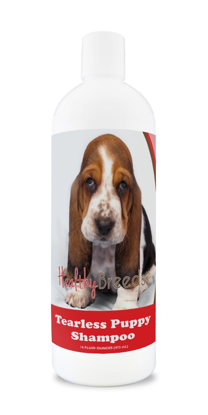 What Makes Basset Hounds Chin Itchy