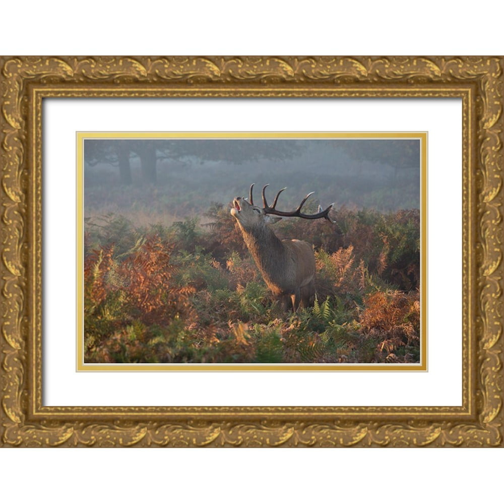 Meswani, Prashant 14x11 Gold Ornate Wood Framed with Double Matting ...