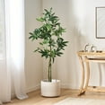 GDF Studio Coles Artificial Money Tree, 5' x 2.5' - Walmart.com