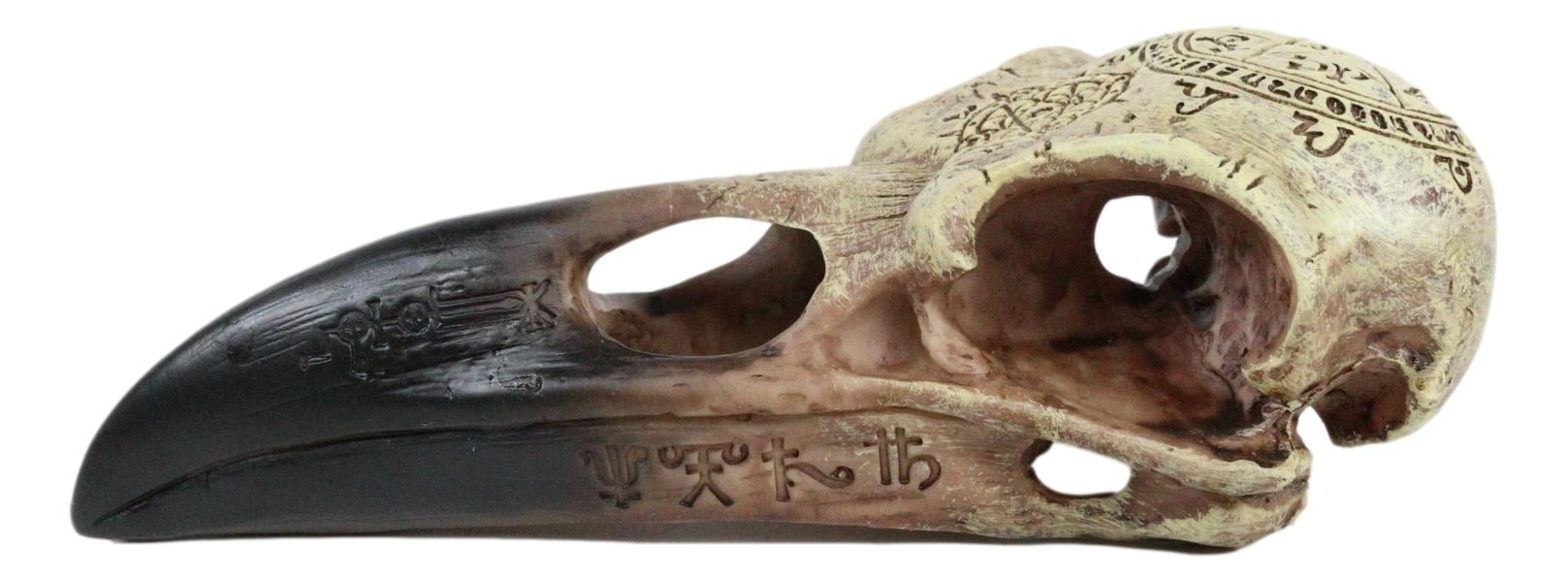 Ebros Pentagram Omega Alchemy Raven Crow Skull Figurine with Carved ...