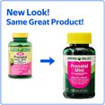 Spring Valley Prenatal Mini Multivitamin/Multimineral Supplement, Mini ...