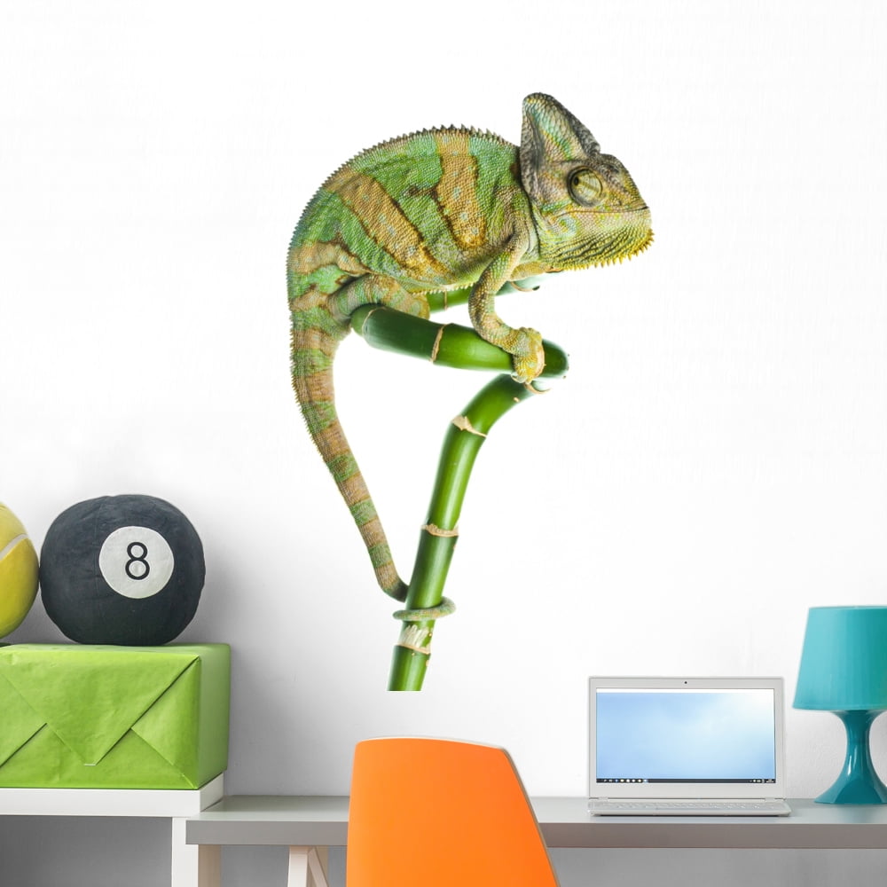 Chameleon Bamboo Wall Decal by Wallmonkeys Peel and Stick Graphic (36 ...
