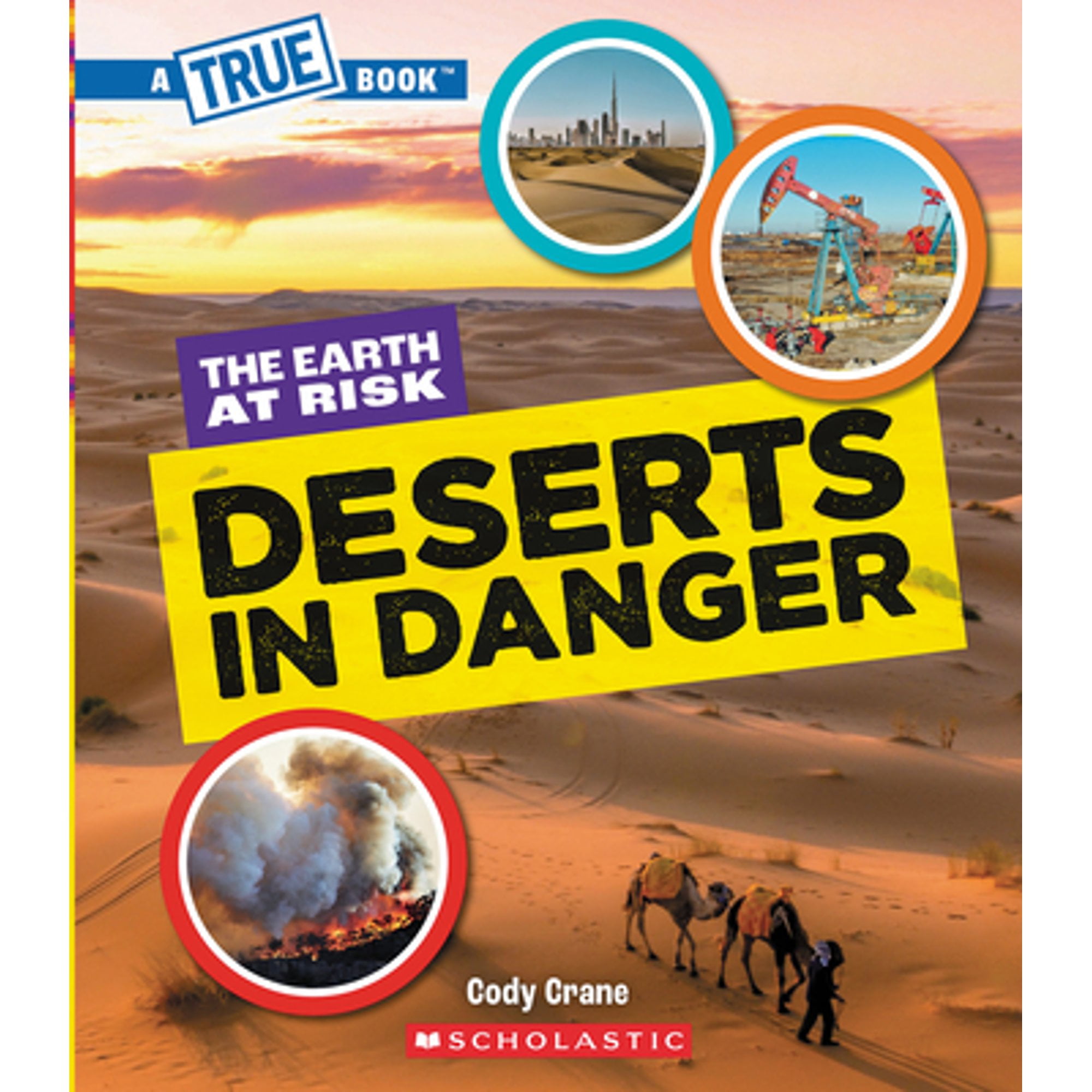 Pre-Owned Deserts in Danger (a True Book: the Earth at Risk) (Paperback ...