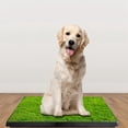 Dog Toilet Indoor Puppy Training Pad, Dog Potty Pet Training Grass Mat ...