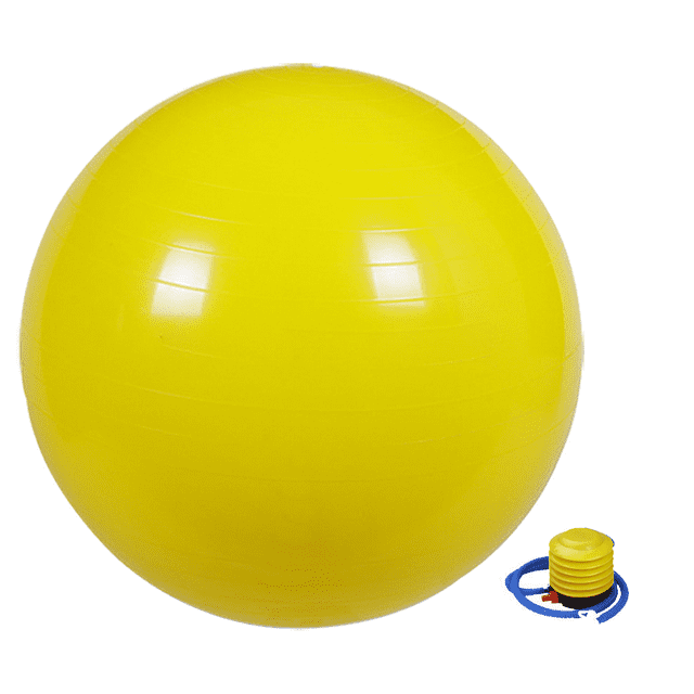 Exercise Ball – ,Stability Ball for Home, Yoga, Gym Ball, Physio Ball ...