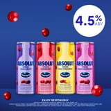Absolut + Ocean Spray Cranberry Ready to Drink Vodka Cocktail, 4 Pack ...