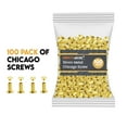 100 Pack of Chicago Screw Post Binding Screws, 10mm Brass Plated Metal ...