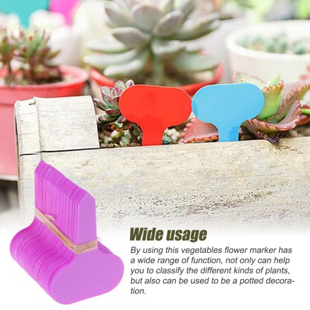 Pack of 100 Garden Seedling DIY Decoration Marking Label Flowers ...