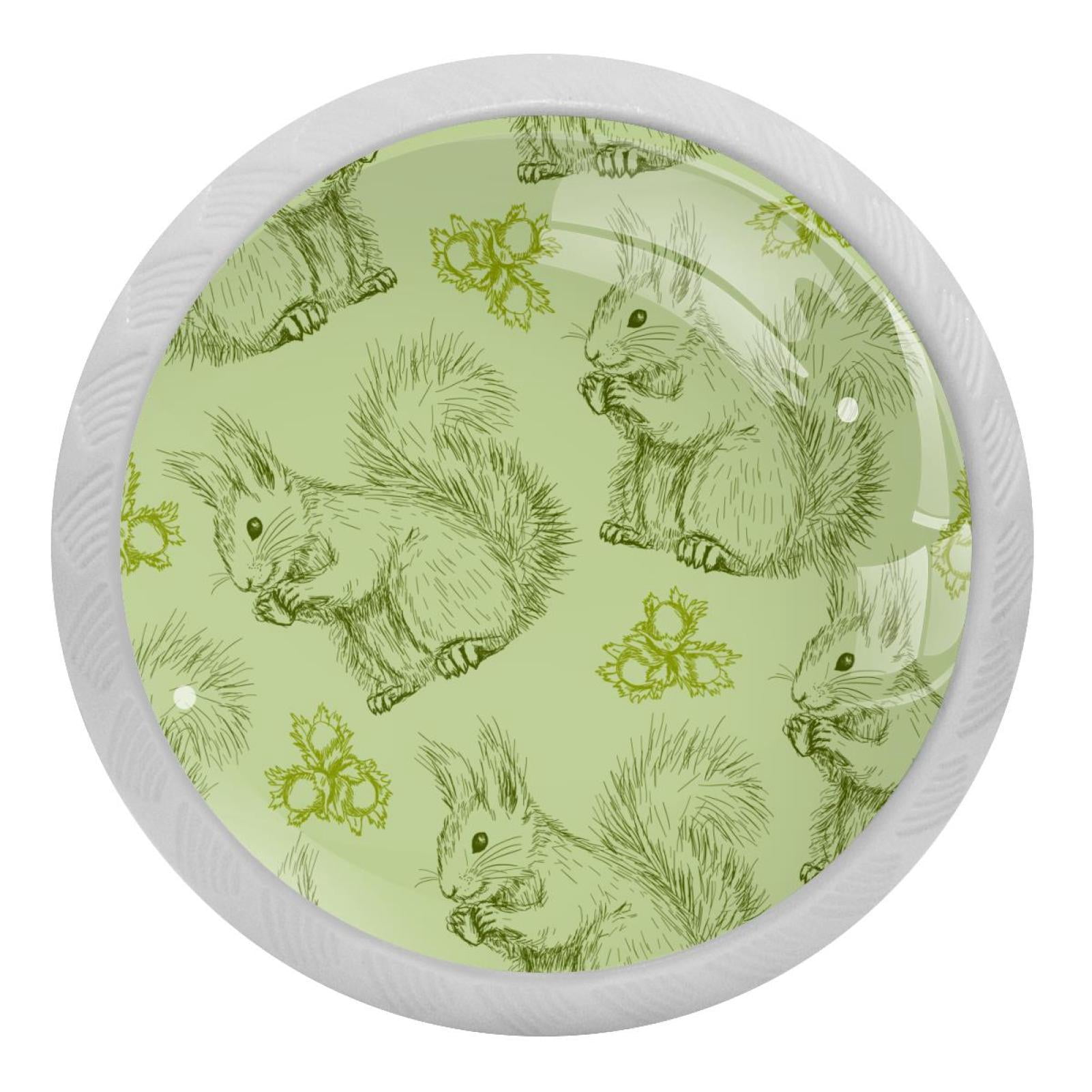 4PCS Round Squirrel Cabinet Fluorescence Knob Glowing in the Dark ...