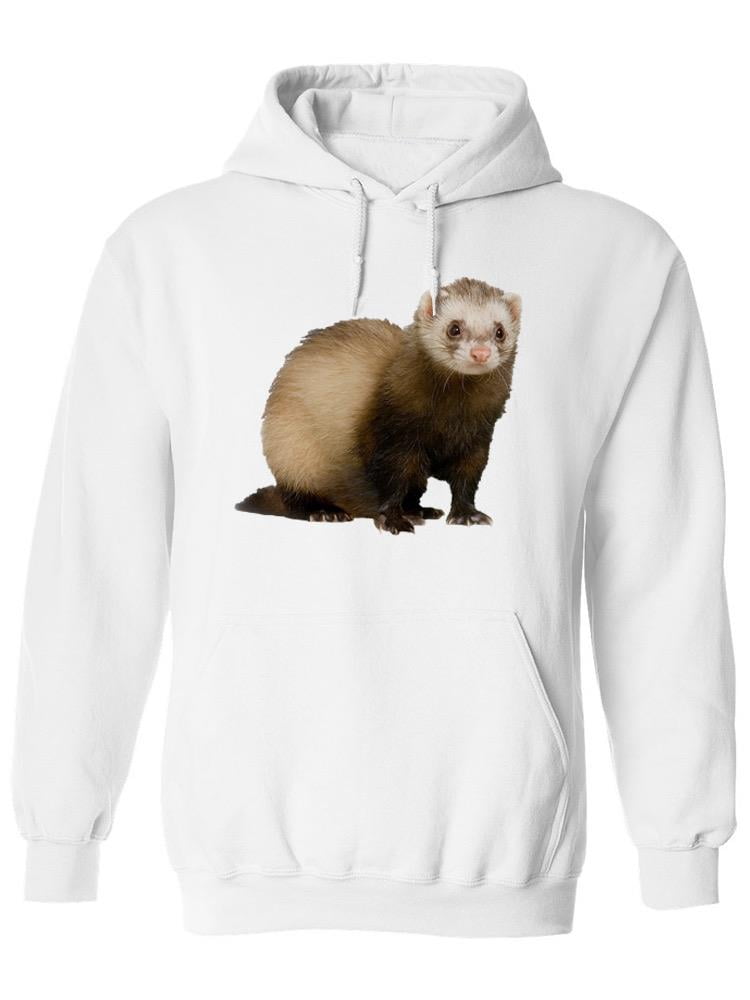 Ferrets In Sweaters