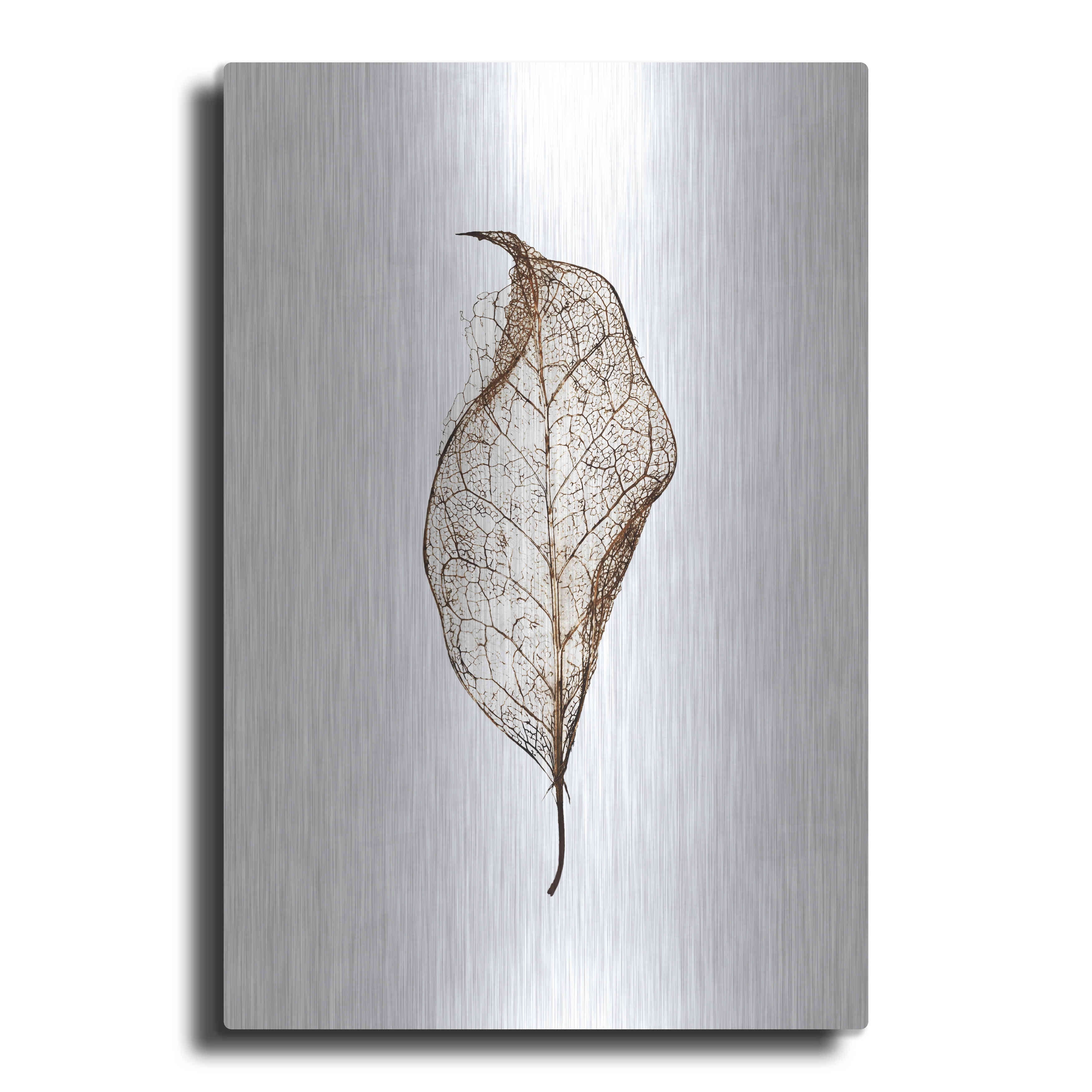 Luxe Metal Art 'Leaf' by Design Fabrikken, Metal Wall Art, 16"x24 ...