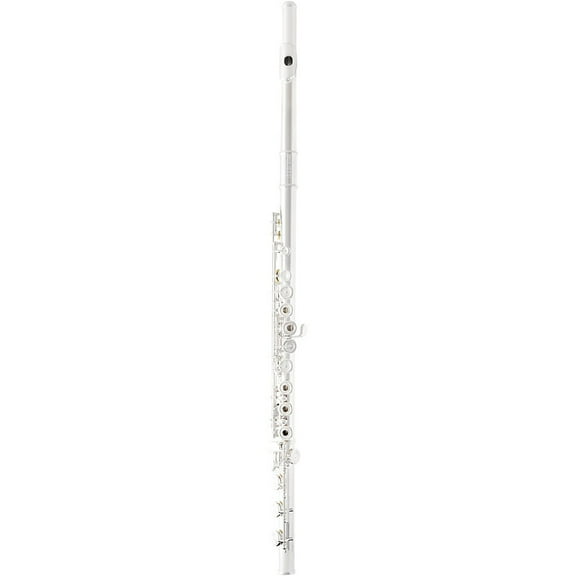 Giardinelli Giardinelli by Haynes GFL5G Open Hole, Low B, Sterling ...