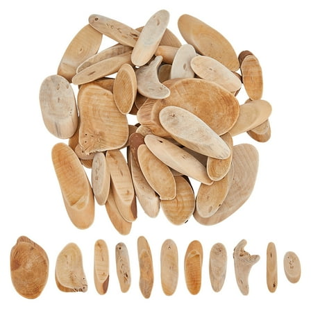 Bulk Set of 15 Imperfect Sand Dollars 2" - 3 1/4" | Ultimate Craft and ...