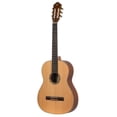 Ortega Family Series Pro R131SN Slim Neck Classical Guitar Satin ...