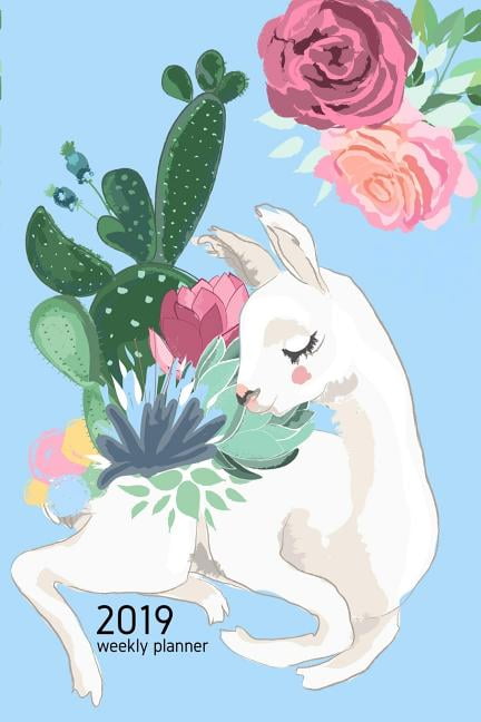 2019 Weekly Planner: Daily Weekly Monthly Calendar Schedule Organizer ...