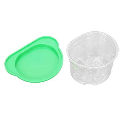 Agar Box, Agar Box Compact Practical For Denture | Walmart Canada