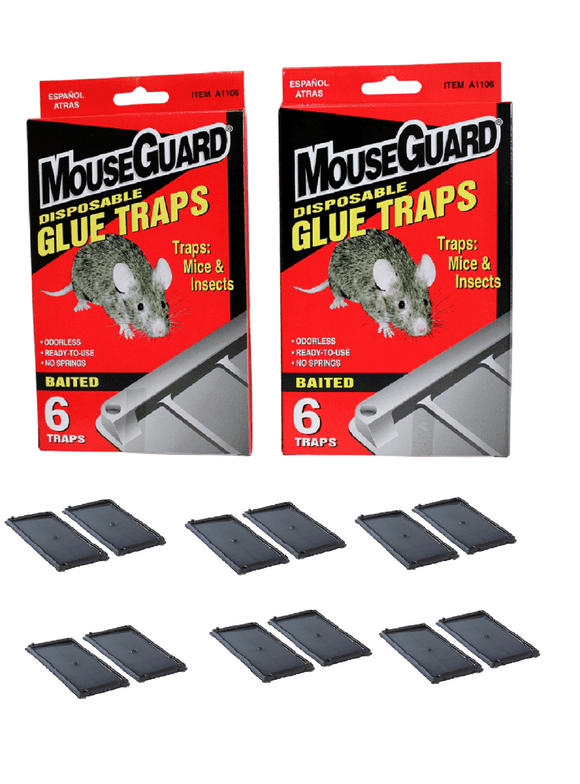 Mouse in Pest Control - Walmart.com