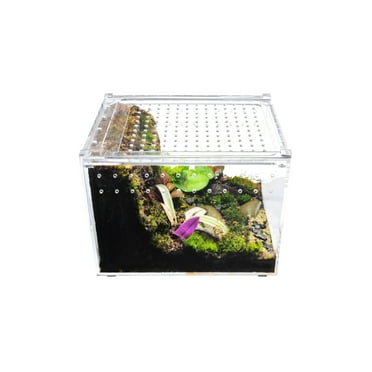 ECOSUB Mini Reptile Tank, 10 Gallon Glass Cages Terrarium, 20" x 12" x ...