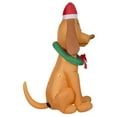 The Grinch's Max with Santa Hat and Wreath - Walmart.com