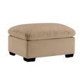 Cloudies Velvet Storage Ottoman Sofa with Hidden Storage & High ...