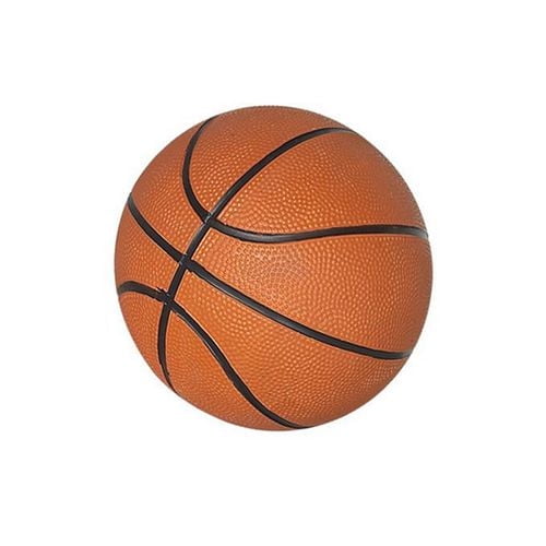 Click here for Hathaway 7-In Mini Basketball prices