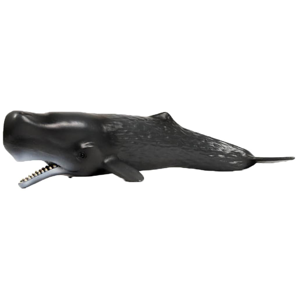 Vivid Figures Hand-Painted Miniature Creature Sea Life Educational B ...