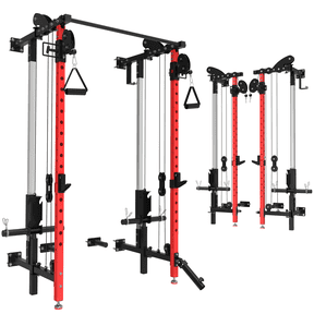 Mikolo Folding Squat Rack, Wall Mounted Power Rack with Pulley System ...