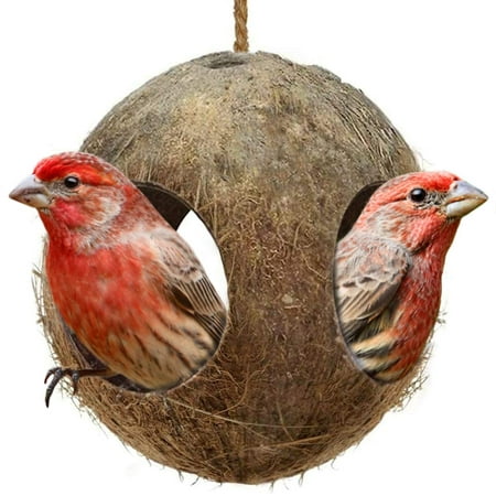 3-Hole Coco Finch Hut, Perfect For Hiding Millet & Nesting Material ...