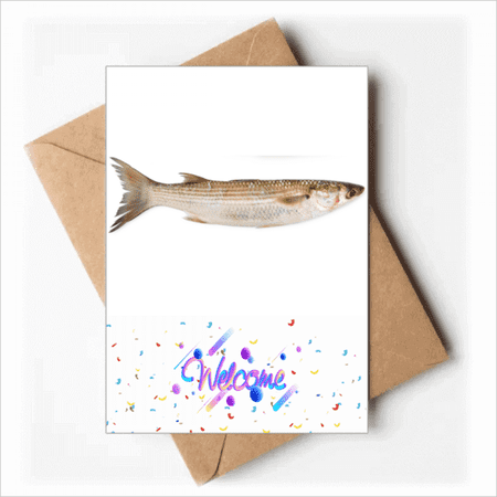 Ocean Fish Fresh Activity Welcome Back Greeting Cards Envelopes Blank ...
