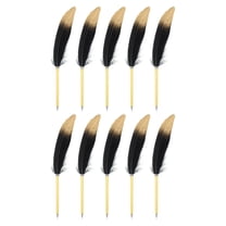 Uxcell Black Ostrich Feather Ballpoint Pens Bulk, Metal Holder Black ...