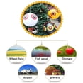 3PCS Inflatable Anti Bird Deterrent Balls, PVC Scare Eye Ball with ...