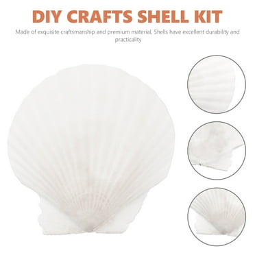 8 Pack: Natural Crushed Shells By Ashland™ - Walmart.com