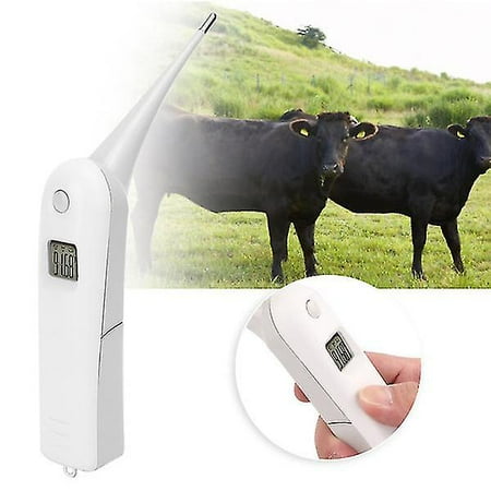 Veterinary Electronic Pigs Cattle Sheep Thermometer Temperature Tester ...