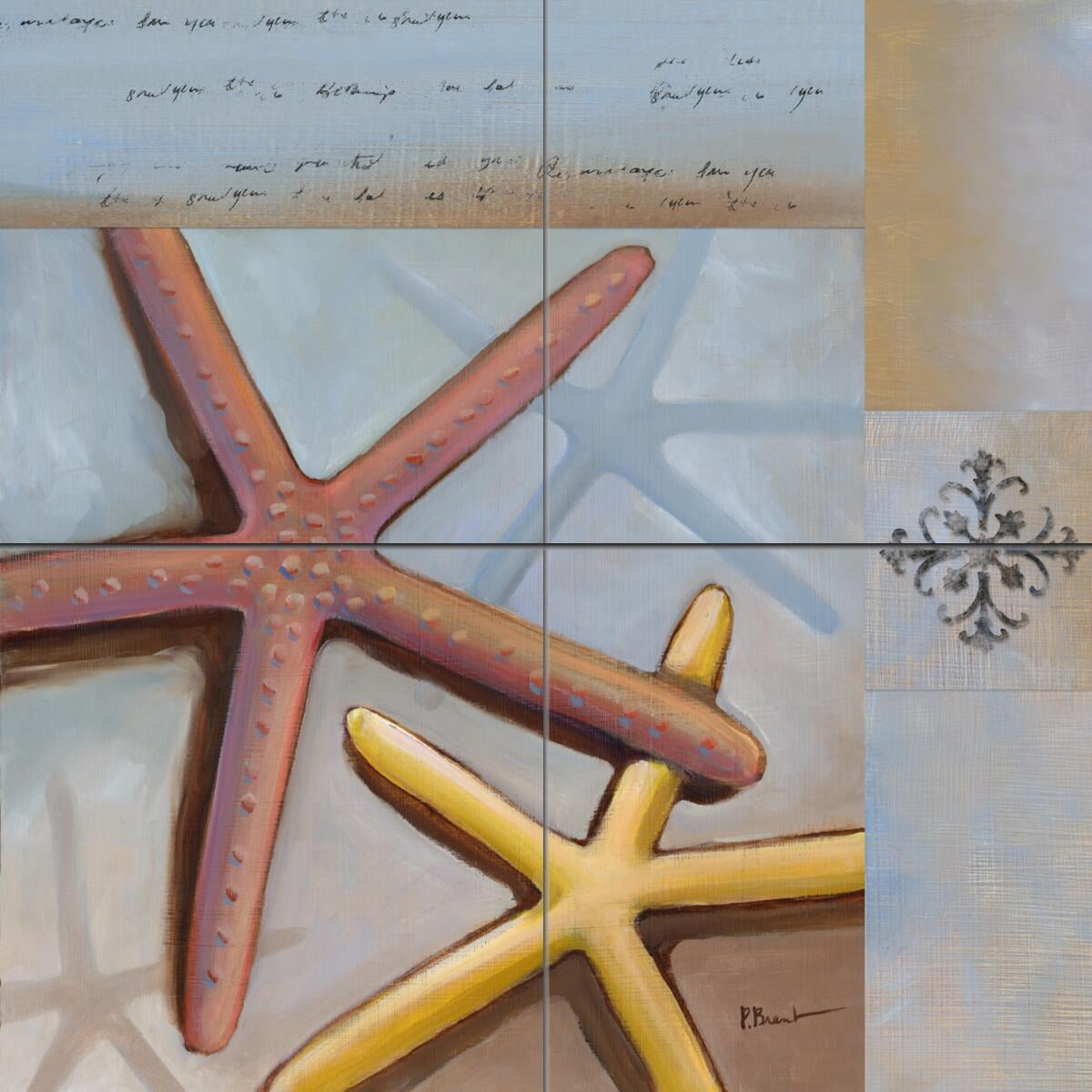 Tile Mural Bathroom Backsplash - Starfish Collage - by Paul Brent ...