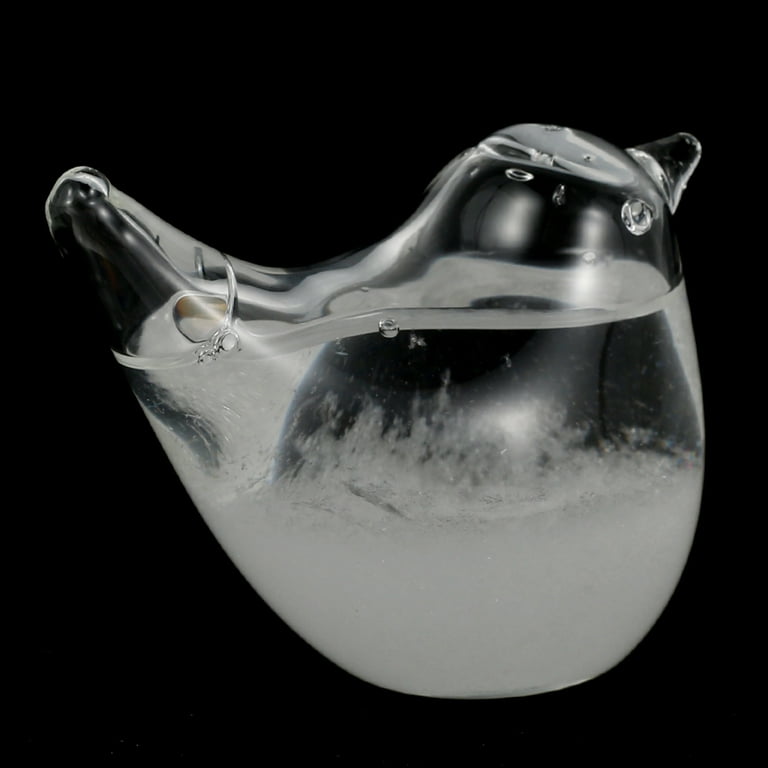Storm Glass Weather Station