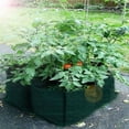 PURELY- 4 Grids Planting Growing Bags Vegetable Container Pot Nursery ...