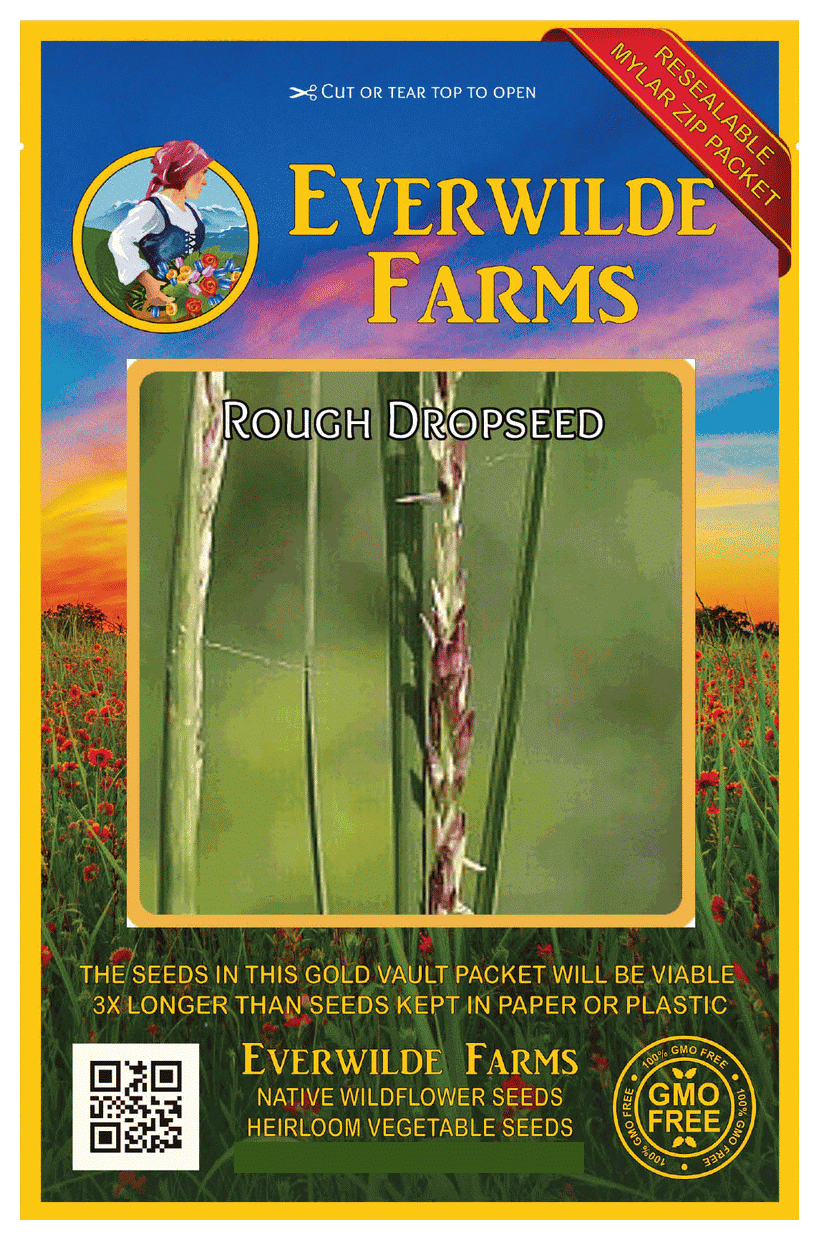 Everwilde Farms - 1 Oz Rough Dropseed Native Grass Seeds - Gold Vault ...