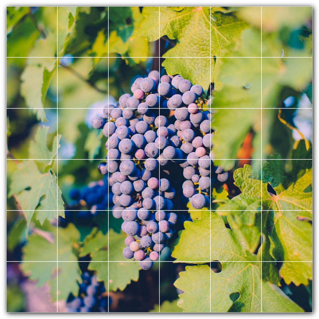 Picture-Tiles.com: Wine Ceramic Tile Wall Mural WAL501204-66M. 36"W x ...