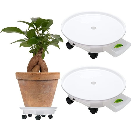 Pair of 17.7" Extra-Large Plant Caddies, Plant Stand with 5 Wheels ...