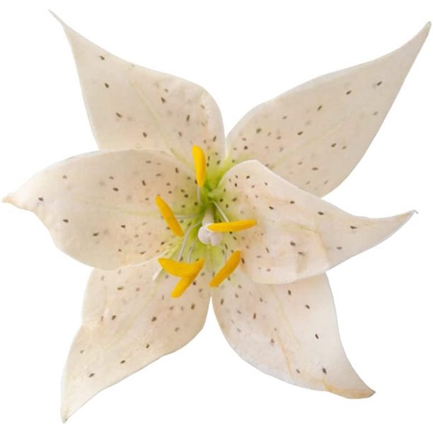 Crystal Candy Make-a-Tiger-Lily Wafer-Paper Flowers, White - Walmart.com