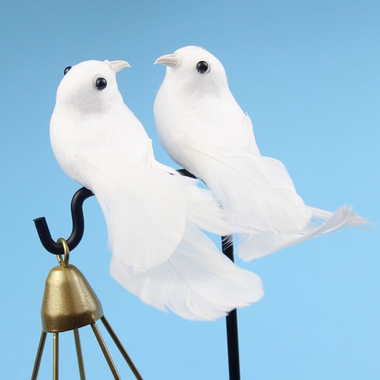 Two White Doves Photography