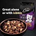 Cesar Home Delights Beef Stew Wet Dog Food Adult, 3.5 oz - Walmart.com