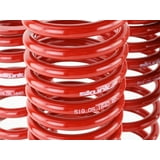 Skunk2 90-93 Acura Integra Lowering Springs (2.50in - 2.25in.) (Set of ...